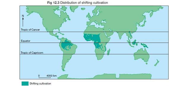 Different types of agricultural activity - Geography - Revision World